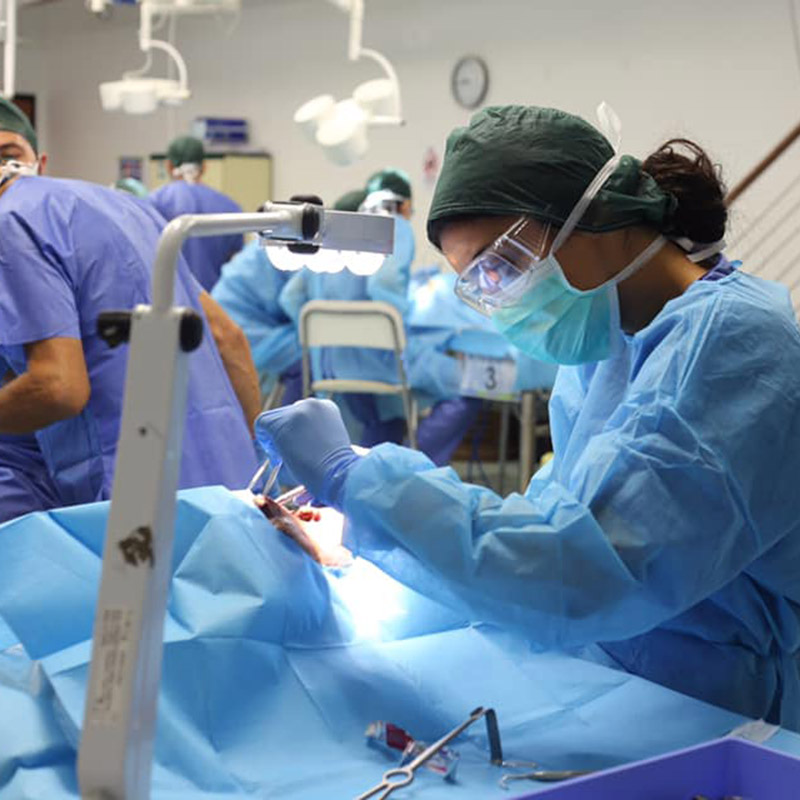 Implatech Institute – The new face of Dental Education